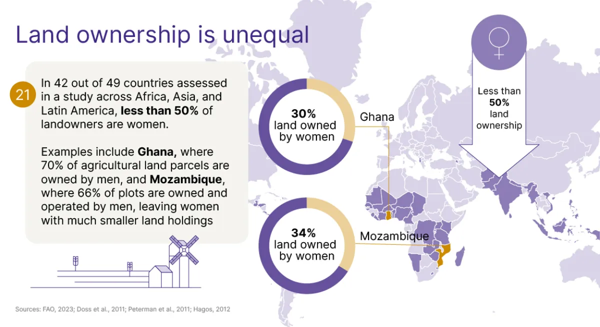 60 facts on wealth inequality - the gender wealth gap | Wealth Inequality Initiative